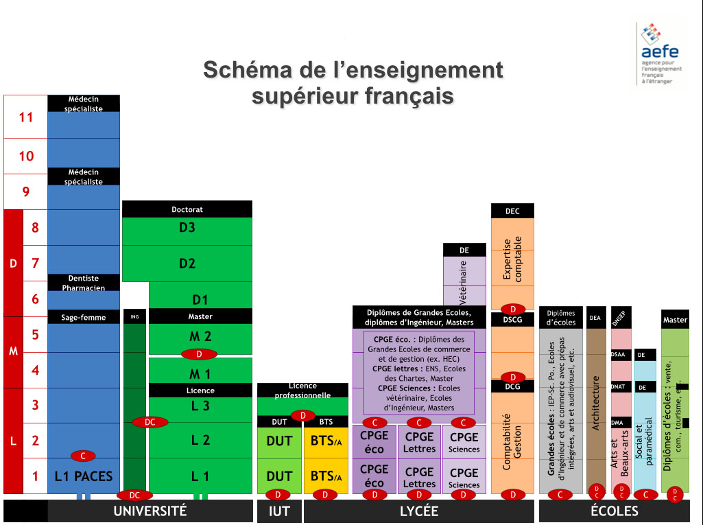 Présentation des études supérieures en France par M. Truong - Lycée ...
